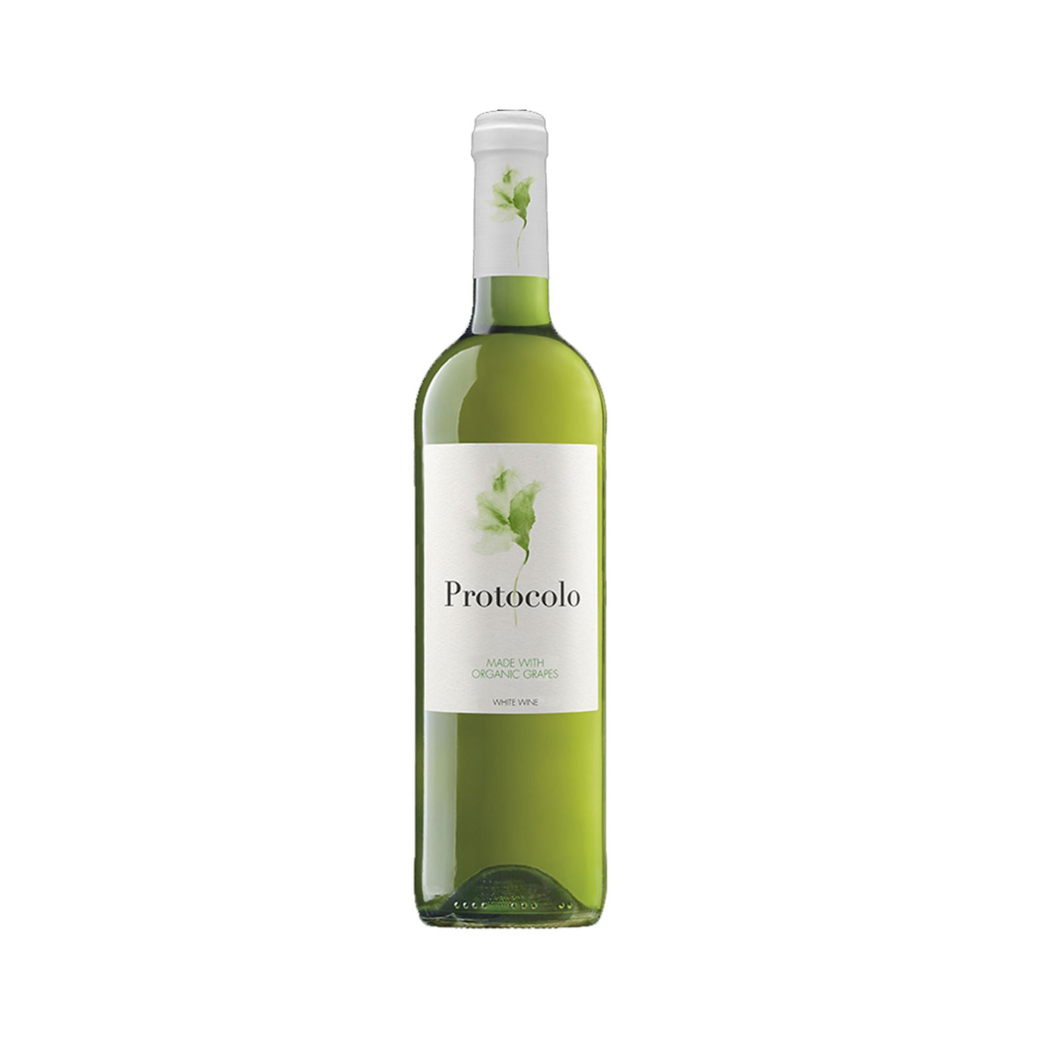 Protocolo Macabeo – Sense of Taste